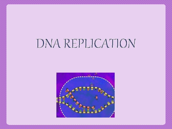 REVISION DNA STRUCTURE REPLICATION Topic 3 IB Biology
