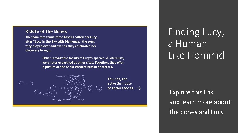 Activities and Labs to Support Evolution Unit Unit