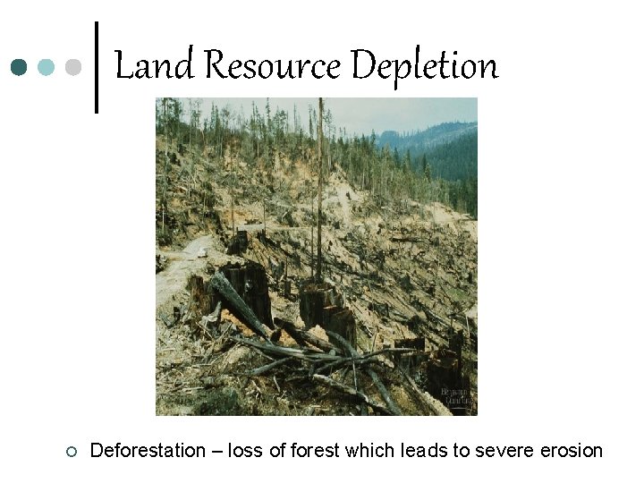 Human Impact Chapter 6 Loss of Biodiversityvariety of