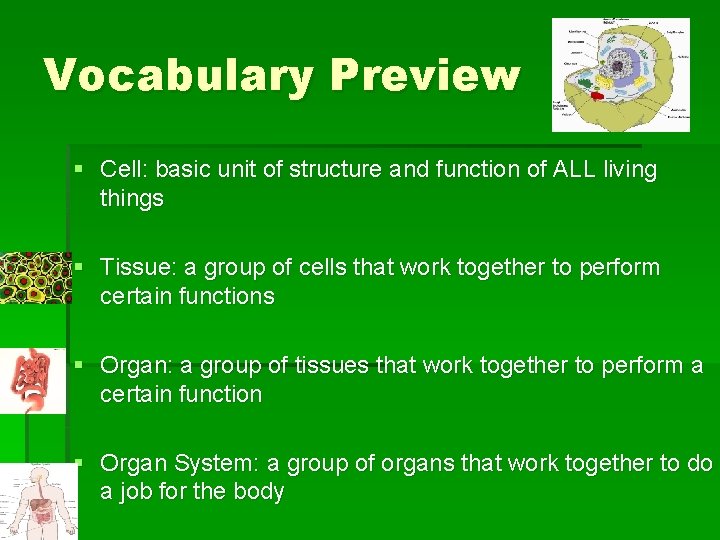 Chapter 5 Lesson What are cells Vocabulary Preview
