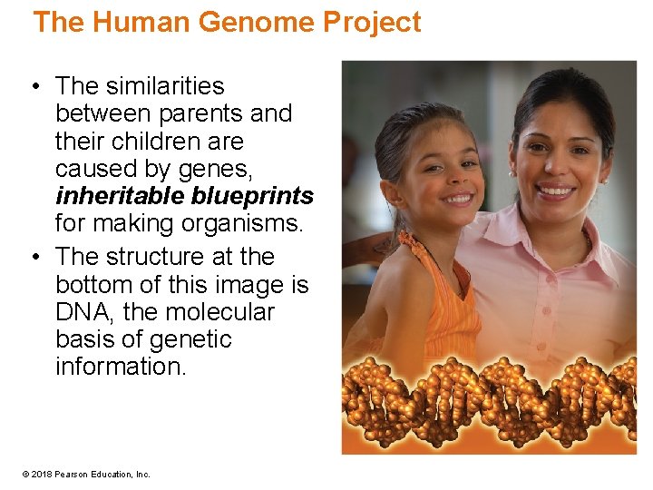 Lecture Presentation Chapter 19 Biochemistry 2018 Pearson Education