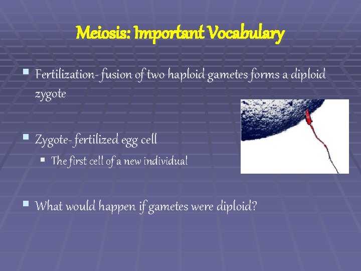 Cell Division SOL BIO 6 ac Meiosis Important