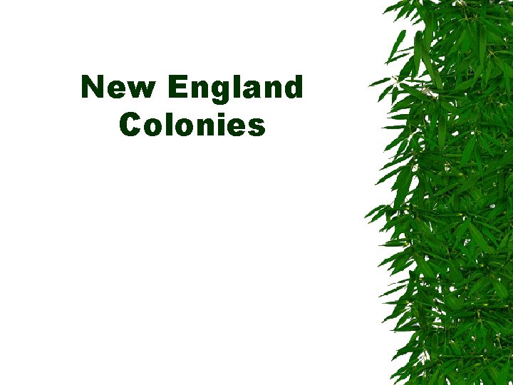 Establishing the Original 13 Colonies Chapter 3 Notes