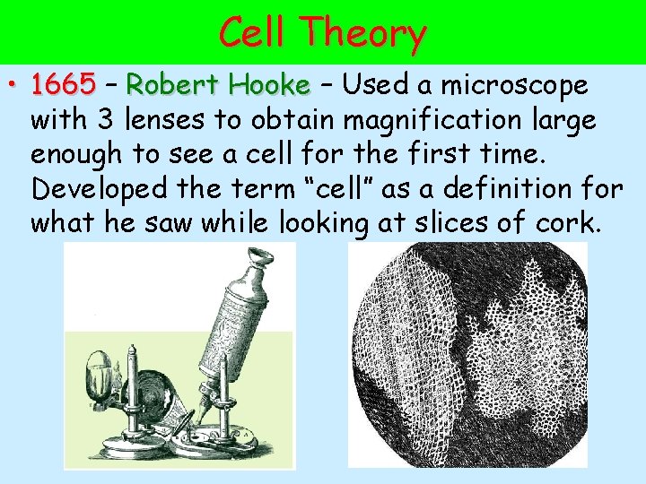 Cell Theory Cell The basic building block of