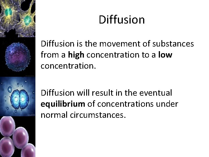 Cell Transport Section 7 3 How do substances