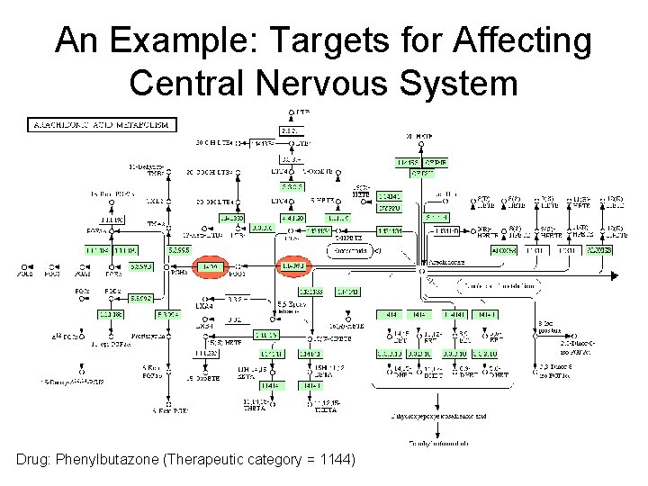 An iterative algorithm for metabolic networkbased drug target