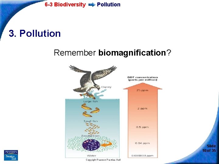 Lecture 1 Biodiversity Slide 1 of 35 Copyright