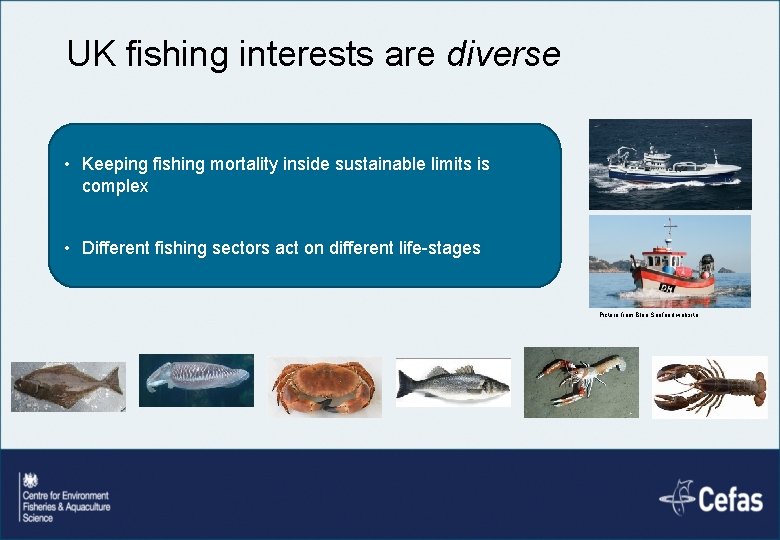 Sustainable Fisheries Education Programme Introduction to Sustainable ...