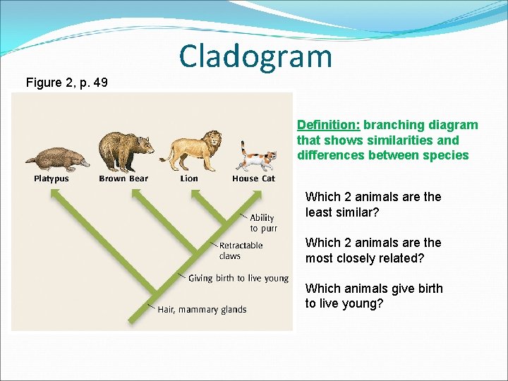 Taxonomy The science of describing naming and classifying