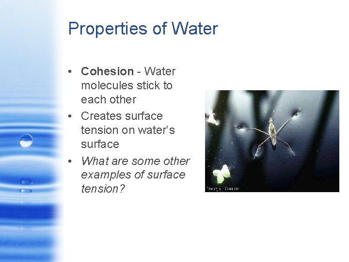 Properties of Water Key Concepts and Vocabulary Key