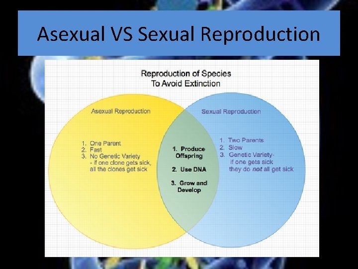 FCAT Review DNA Cellular Reproduction Genetics Assembled by