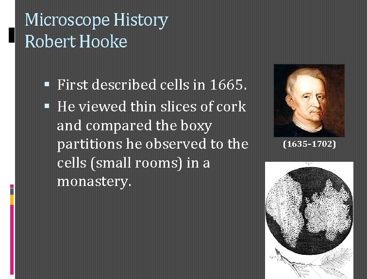 Cell Study 1 Microscope History Robert Hooke First