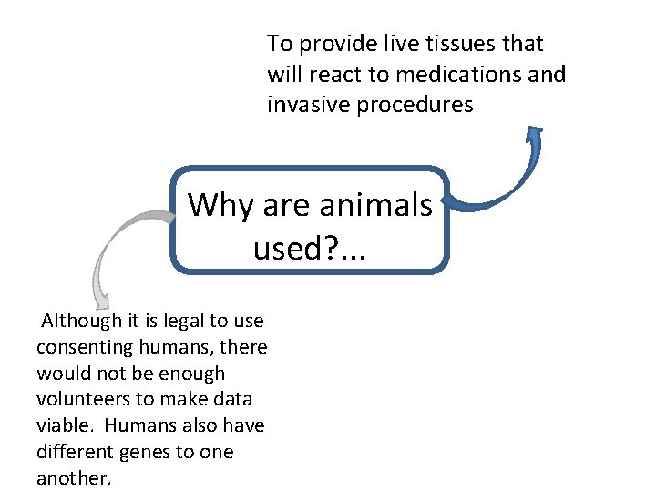 Animal Testing An Introduction Lesson Objectives 1 Recognise