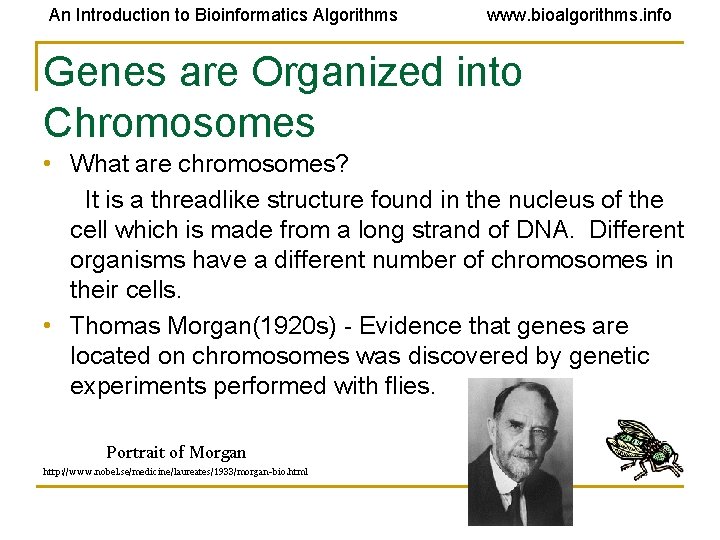 An Introduction To Bioinformatics Algorithms Bioalgorithms Info