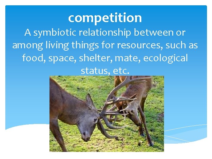 biodiversity The diversity of plant and animal life