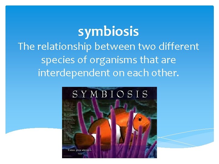 biodiversity The diversity of plant and animal life
