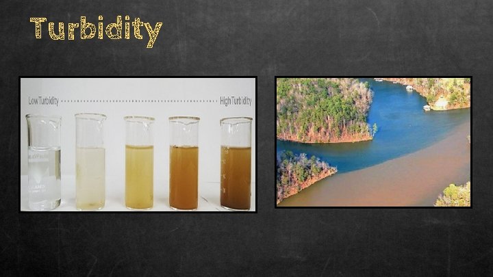 Physical and Biological Factors that affect the water