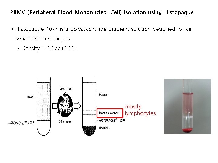 Blood Qualifies as a type of connective tissue