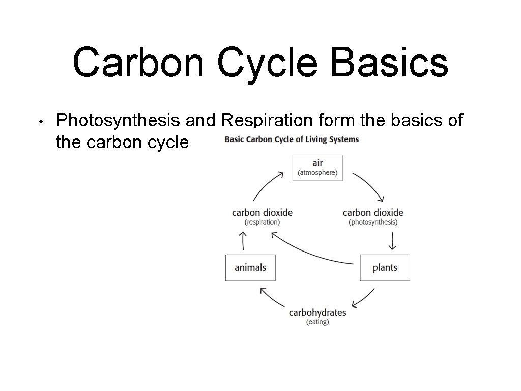 The Carbon Cycle A key to our climate