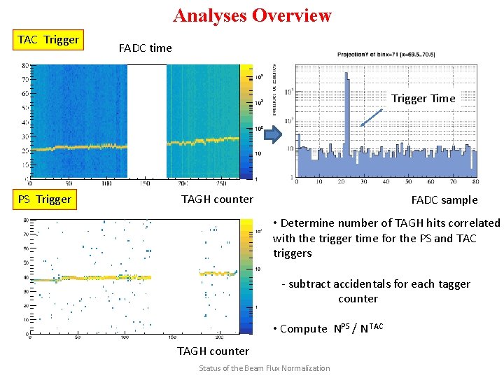 Status of the Beam Flux Normalization from TAC