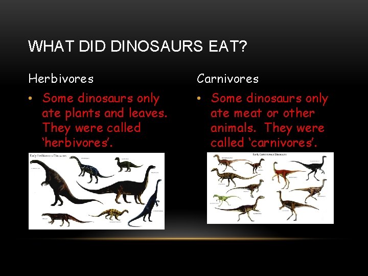 DINOSAURS WHAT ARE DINOSAURS Fact about dinosaurs Dinosaurs