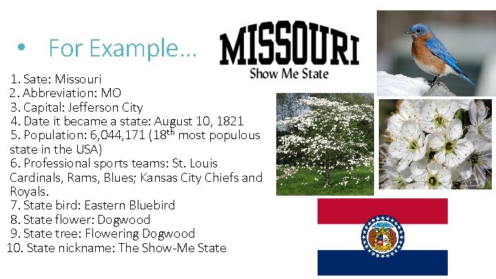 Learning the 50 States By Katie Schonhoff and