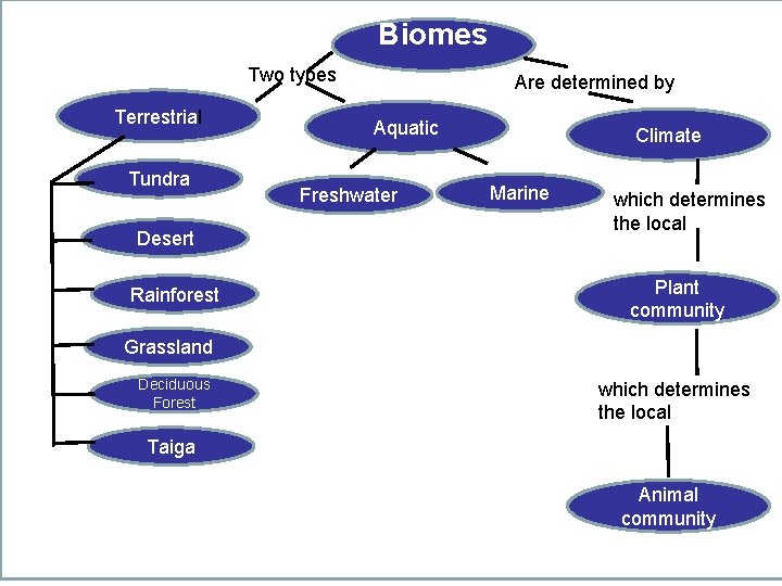 Biomes of the World Biomes Two types Terrestrial