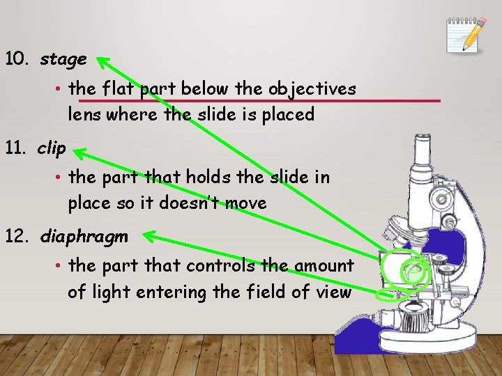 MICROSCOPES MAGNIFIES OBJECTS MAKES OBJECTS LOOK BIGGER HELP