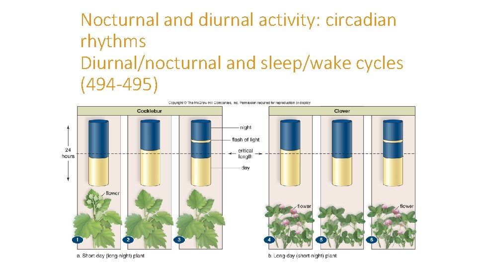 2 C 1 Organisms use feedback mechanisms to