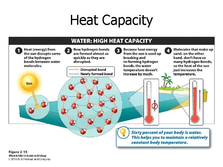 Chemistry UEQ What is the relationship between water