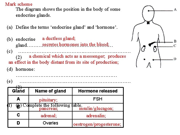GCSE Biology Exam Doctor Nervous and Hormonal Coordination