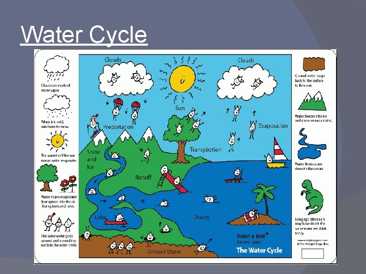 MATTER AND ENERGY IN THE ECOSYSTEM Biotic Factors