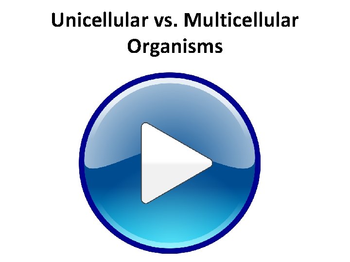 Unicellular and Multicellular Organisms Cells Unicellular Organisms ...