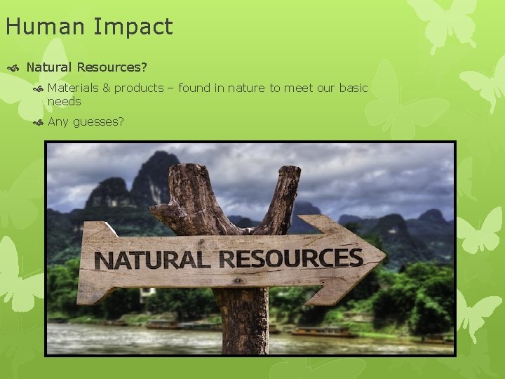 The Human Impact Ecosystems Humans The Beginning Looking