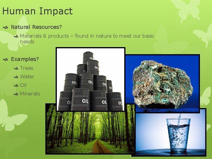 The Human Impact Ecosystems Humans The Beginning Looking