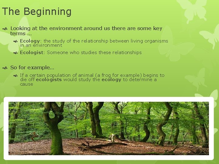 The Human Impact Ecosystems Humans The Beginning Looking