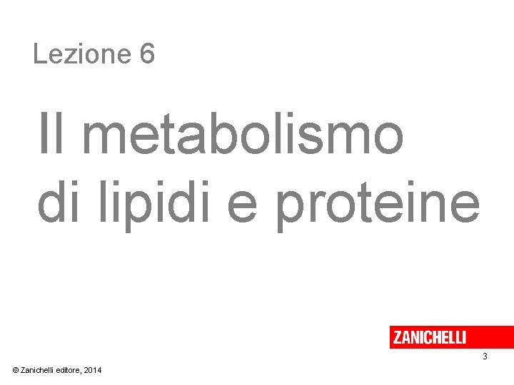 Lezioni di biochimica 2 Lezione 6 Il metabolismo