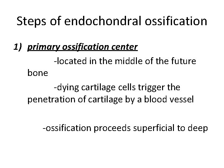 SKELETAL SYSTEM Osteology study of bones Bone is
