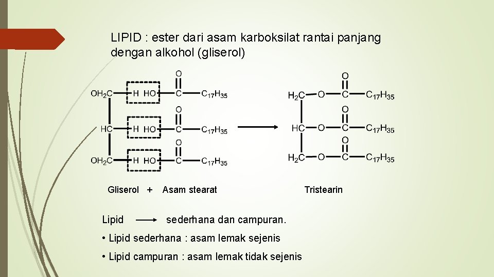 LIPID BIOKIMIA SEMESTER 4 PROGRAM STUDI FARMASI SEKOLAH