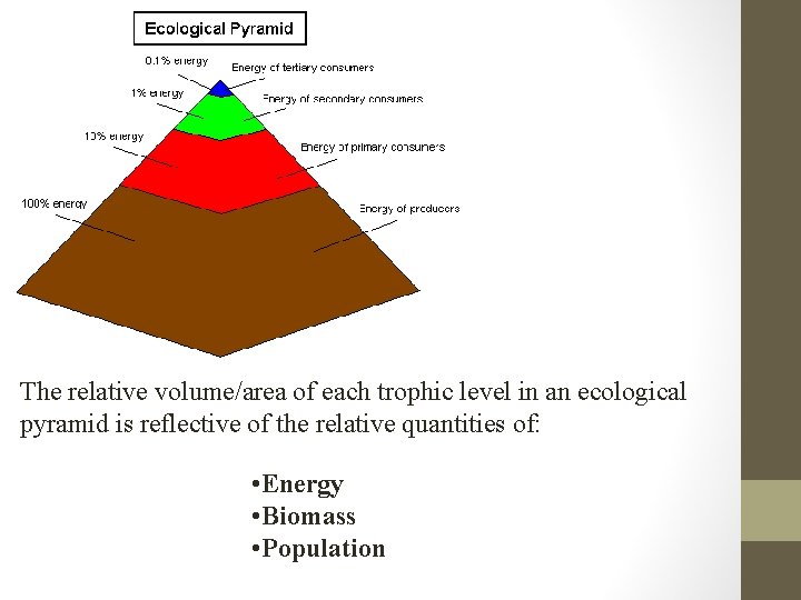 Energy Flow in Ecosystems Obeys the first and