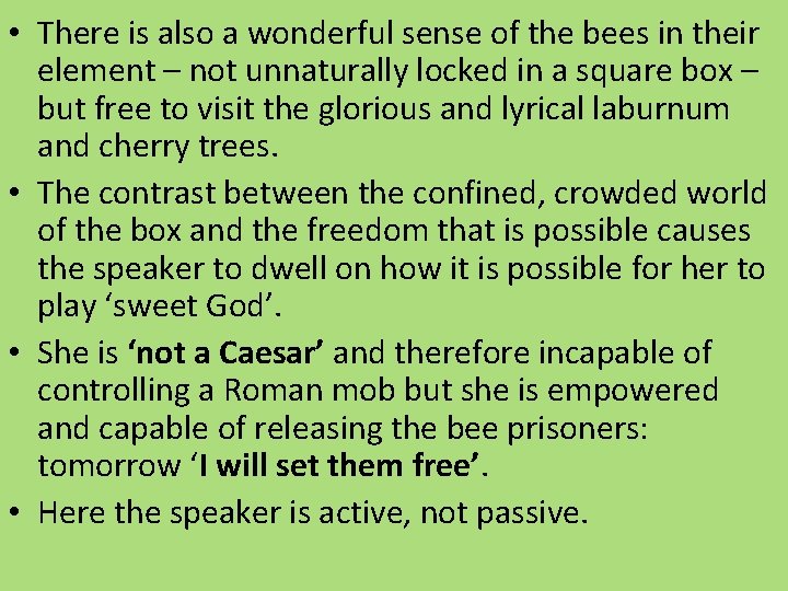 The Arrival of the Bee Box Sylvia Plath