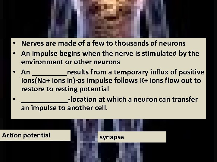 Human Body Systemsan overview of Anatomy and PhysiologyNotes