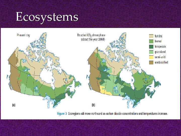 Lesson 4 Impacts of climate change globally locally