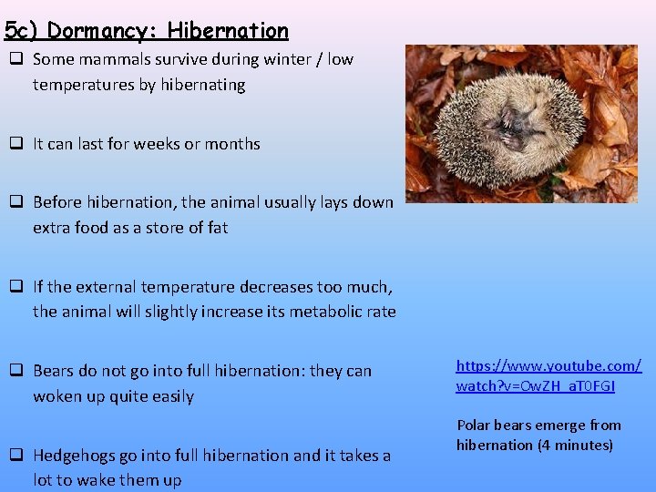 Higher Biology Unit 2 Metabolism and Survival KEY