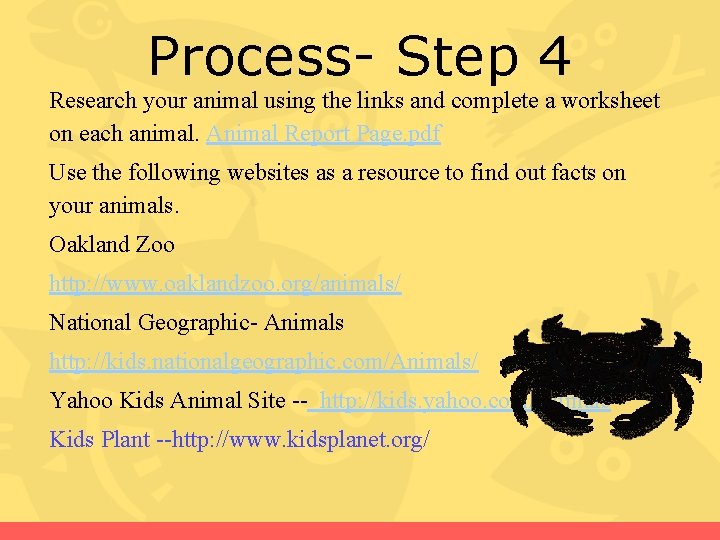 Classifying Animals 3 rd Grade Webquest By Kyle