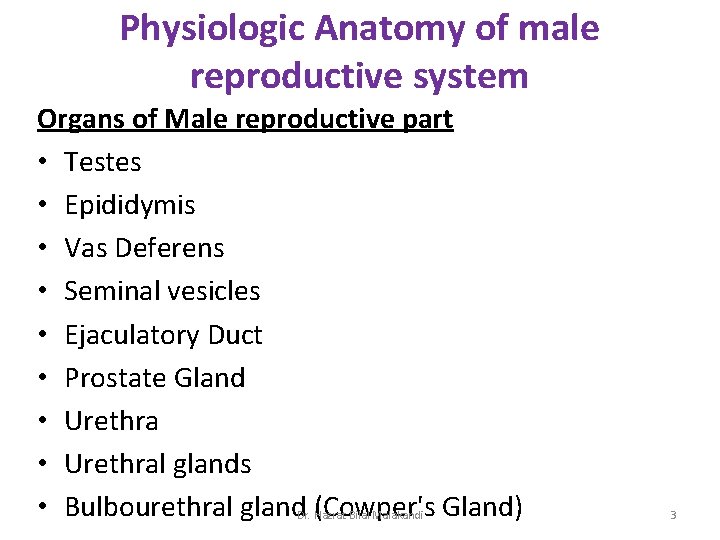 Physiology of Male Reproductive System Dr Hazrat Bilal