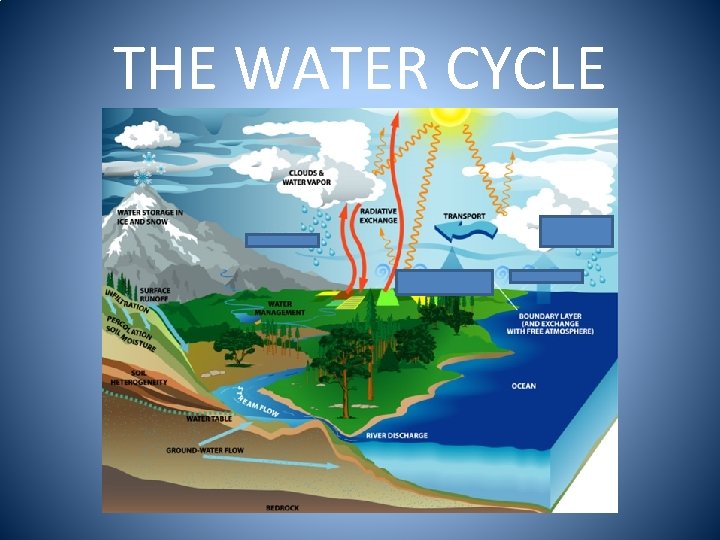 WATER BENEATH EARTHS SURFACE THE WATER CYCLE VOCAB