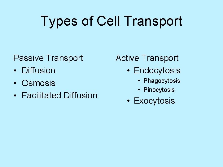 Biology I The Cell and its Environment Homeostasis