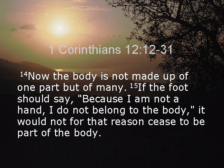 1 Corinthians 12 12 31 12 The body