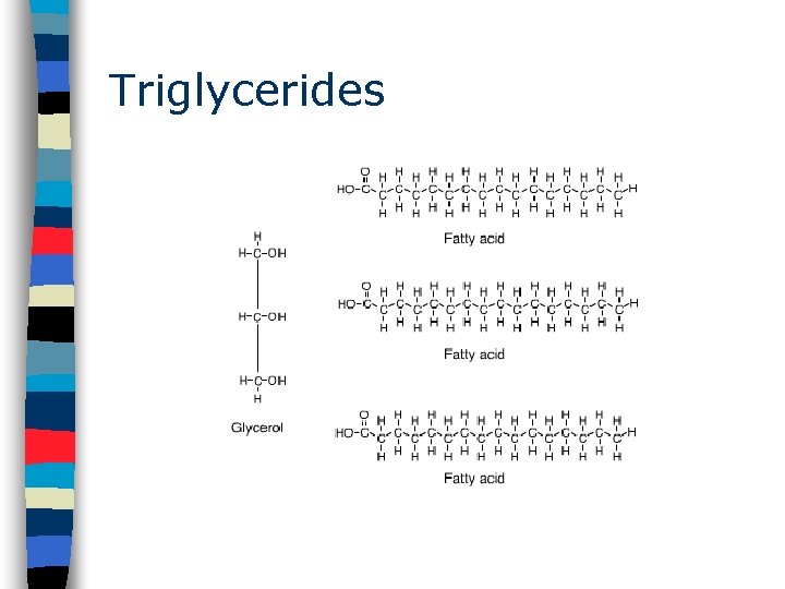 AS Biology Core Principles Lipids Aims Elements of